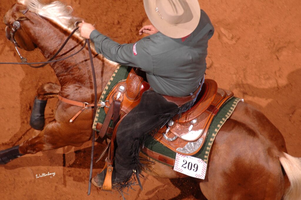 Home - Legendary Stakes