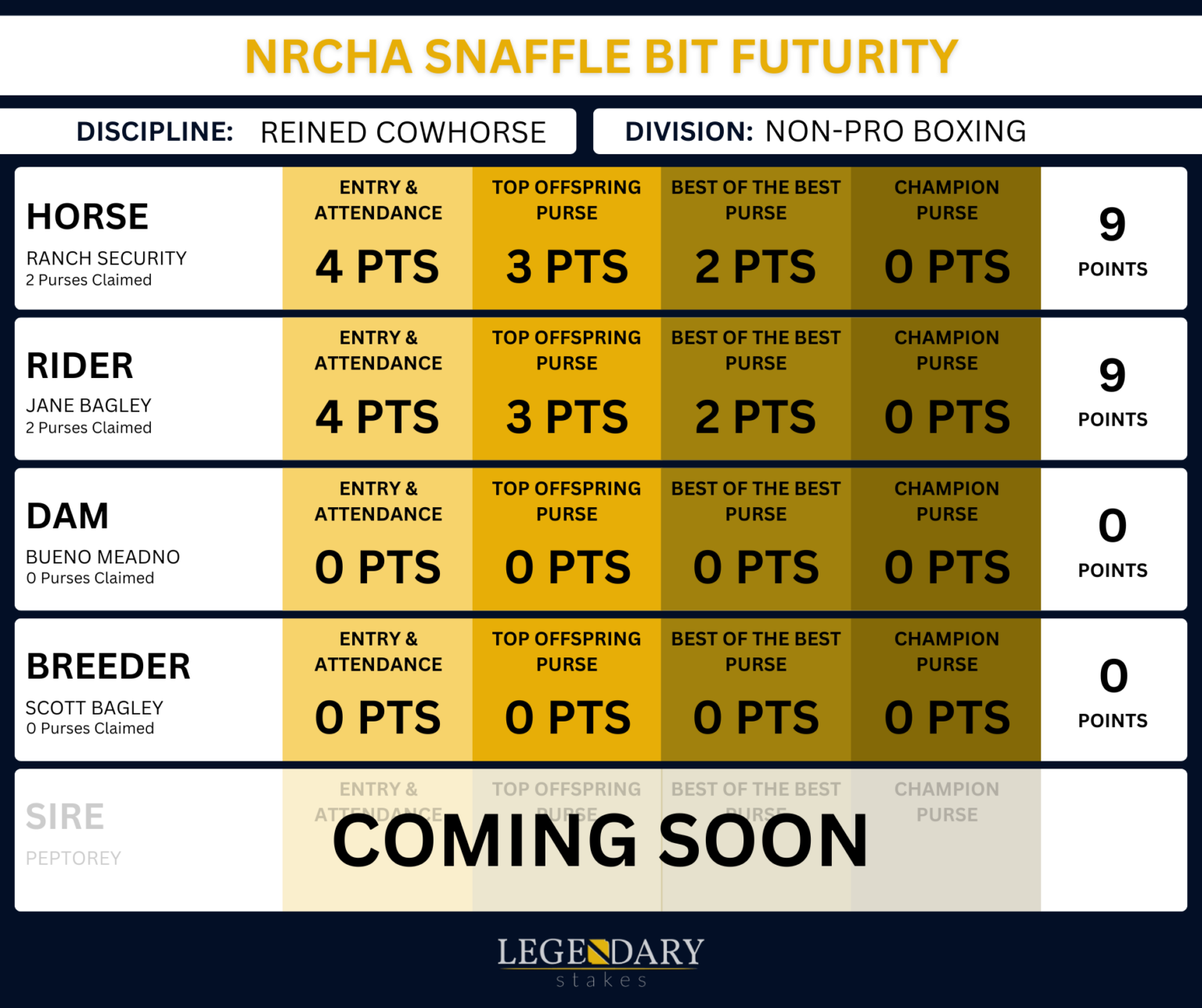 NRCHA Snaffle Bit Futurity - 2024 Results