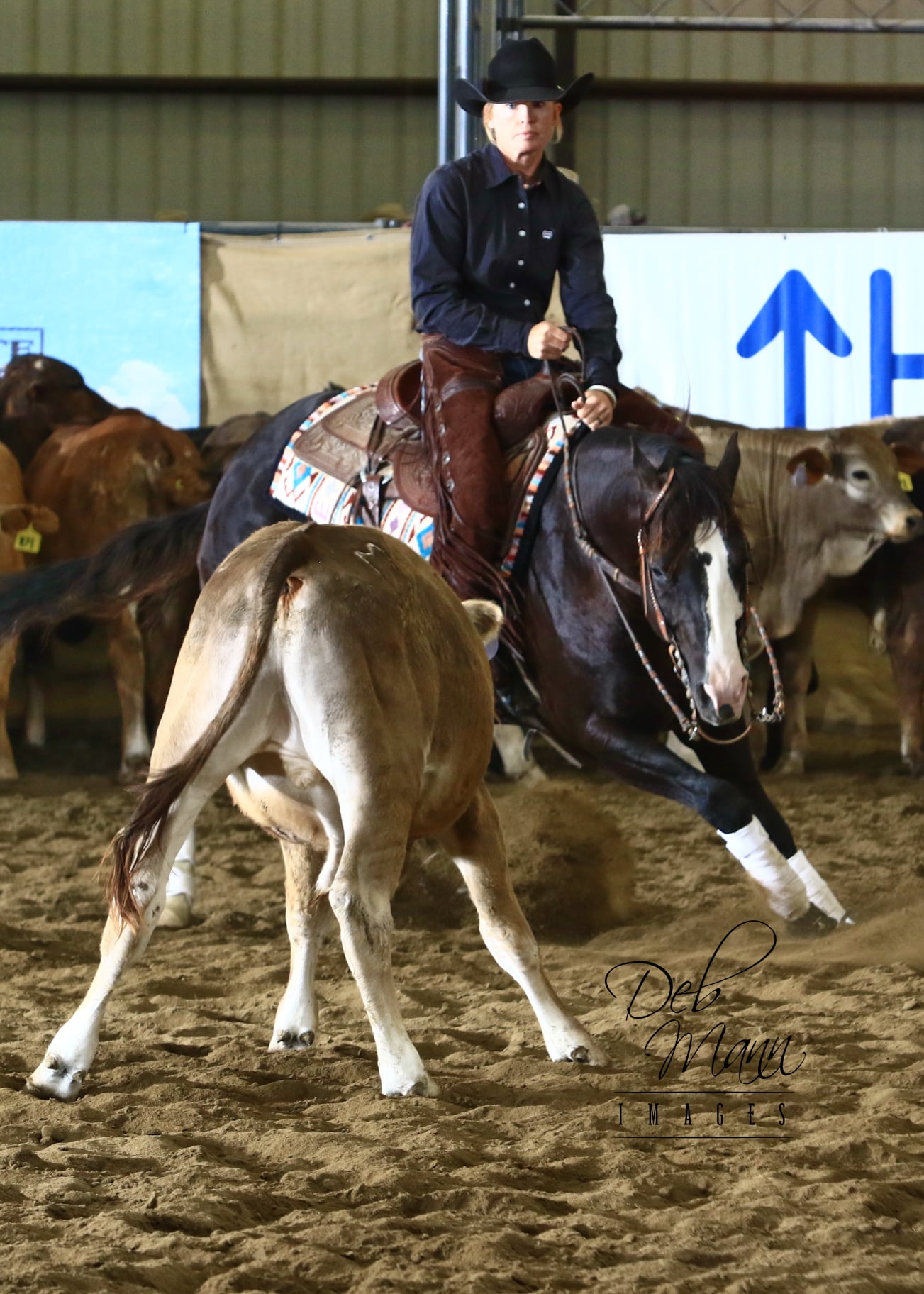 ISR Wyn A Blue - Legendary Stakes